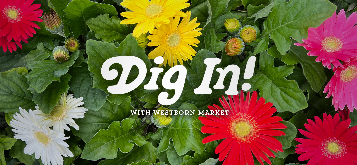 Welcome to Westborn Market